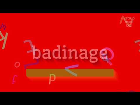 How to say "badinage"! (High Quality Voices)