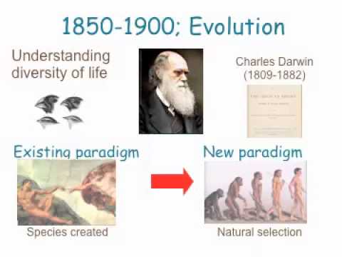 Pure Excitement | History and makings of PsychLife