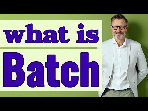 Batch | Meaning of batch