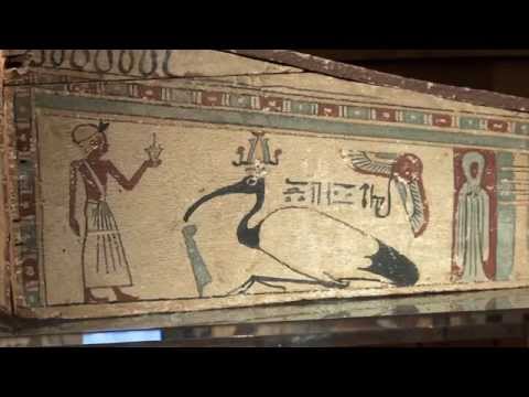 Egyptian sacred ibis mummies, Cuvier, Lamarck and evolution | Dear ...