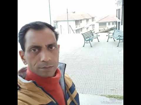 Dil da dimaag
