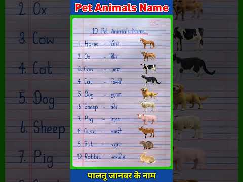 10 पालतू जानवरों के नाम इंग्लिश और हिंदी में | Pet Animals Name in English and Hindi #shorts #words