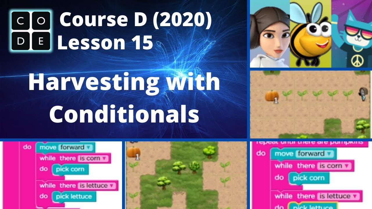 Basic Programming | Code.org | Course D | Lesson 15