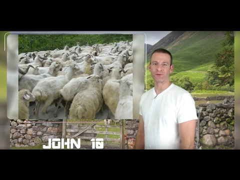 John Chapter 10 Summary and What God Wants From Us