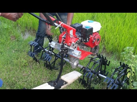 Paddy Weeder - Paddy Weeder Machine Latest Price, Manufacturers & Suppliers