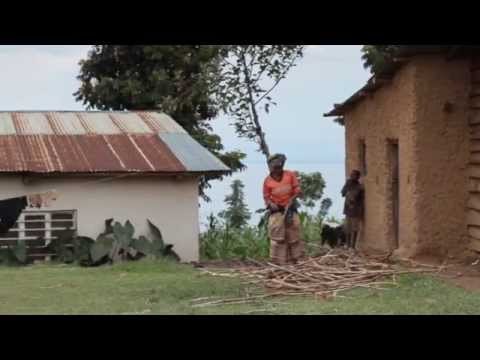 Global Food Security; a shared responsibility