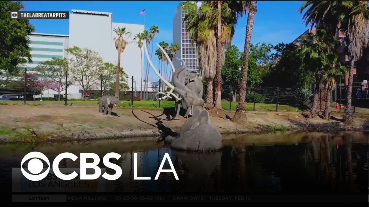 La Brea Tar Pits and Museum | Let’s Go Places