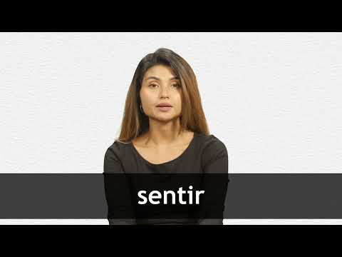 English Translation of “SENTIR” | Collins Spanish-English Dictionary