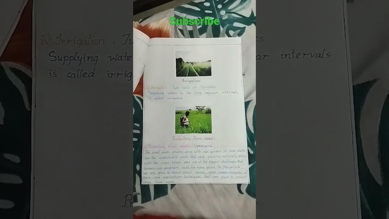 Different practices in agriculture biology project work 8th class