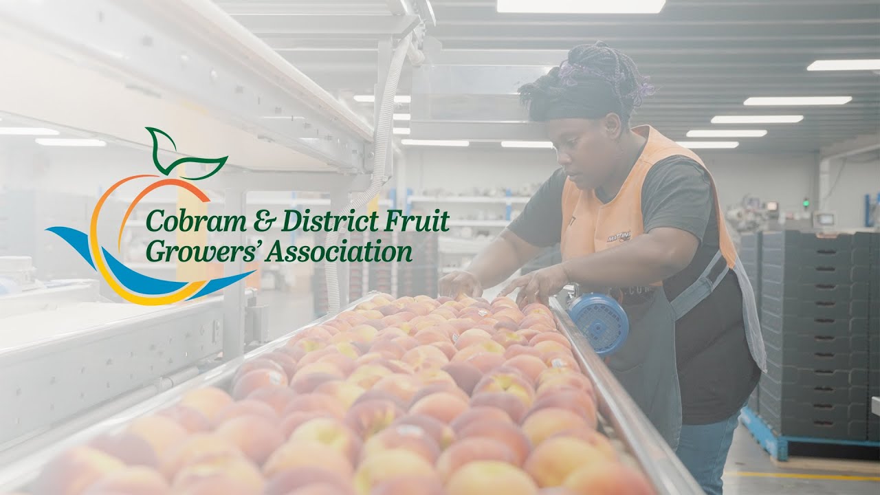 Cobram Fruit Growers