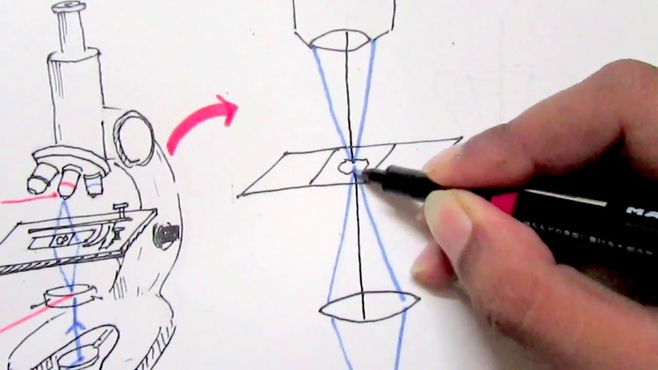 numerical aperture of microscope made simple