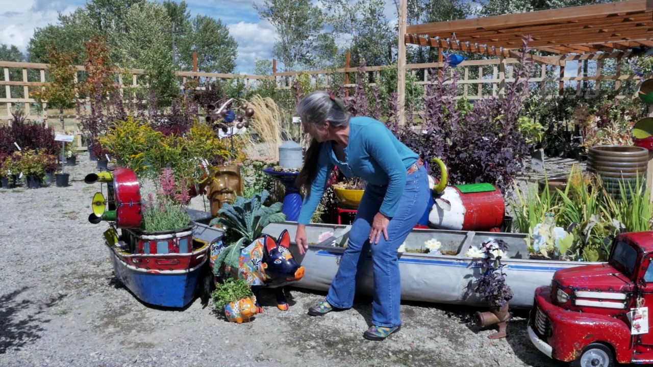 Unusual Garden Containers