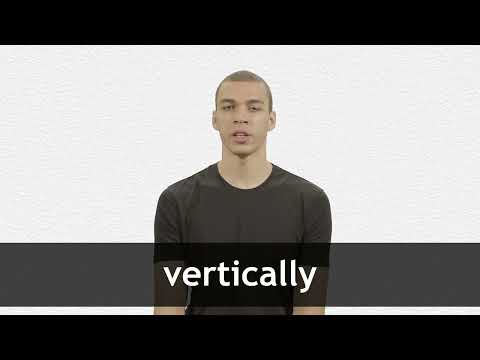 VERTICALLY definition and meaning | Collins English Dictionary