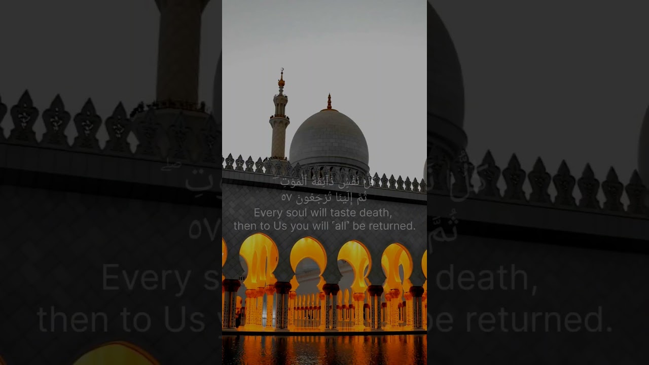 Surah Al Ankabut verse 56 57 enjoy and listen recitation islam islamicvideo