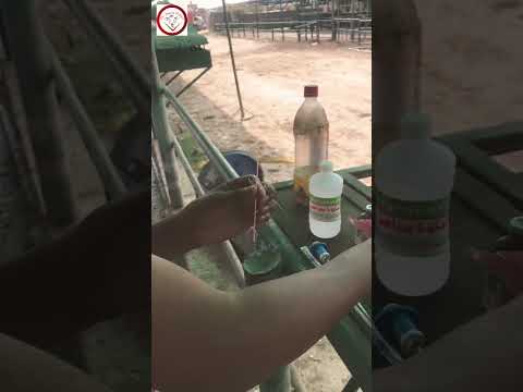 Artificial insemination in cow| AI Gun loading | insemination gun preparation #dairyfarming #viral