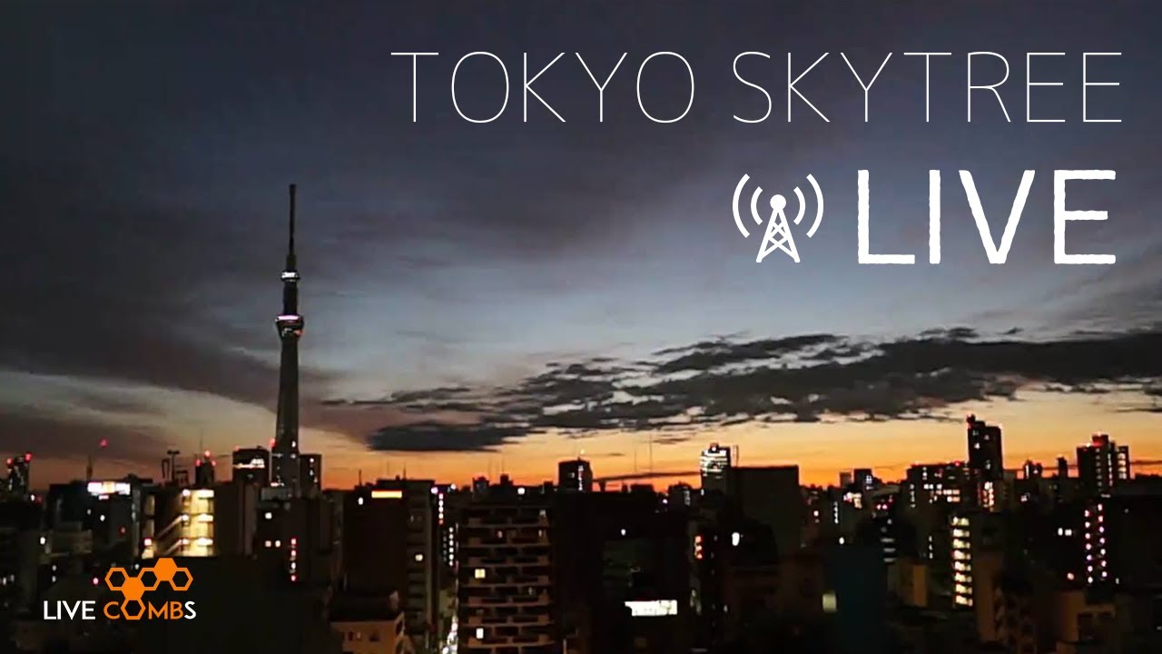 11 Japanese Livestreams That Let You Travel Around Japan Virtually