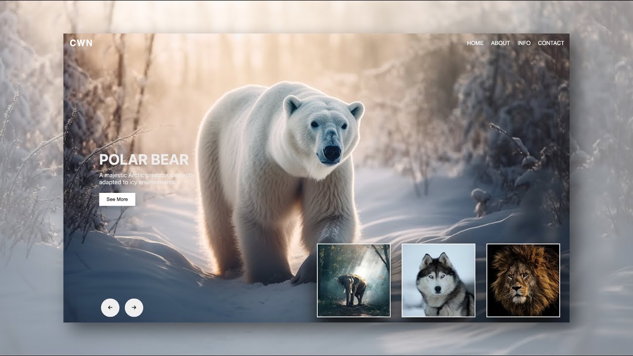 Create Responsive Animated Image Slider using HTML, CSS & JavaScript | Coding With Nick