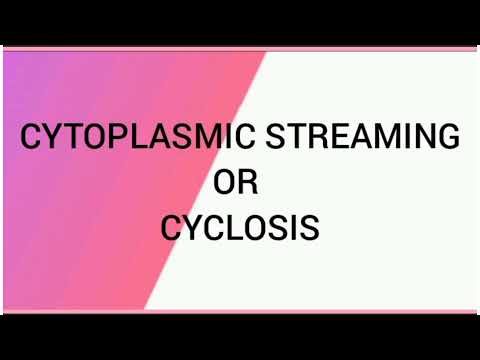 Cytoplasmic Streaming| Cyclosis| Diversity of Living World