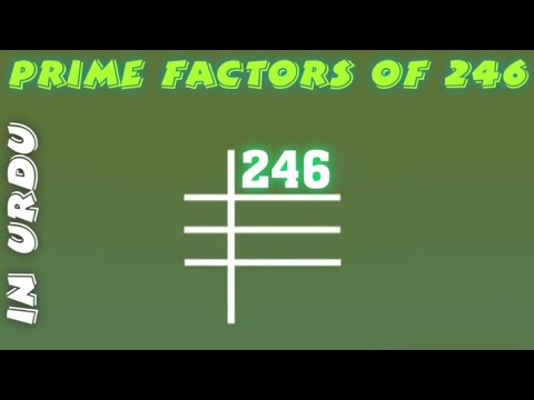 Prime Factors of 246 - Prime Factorization