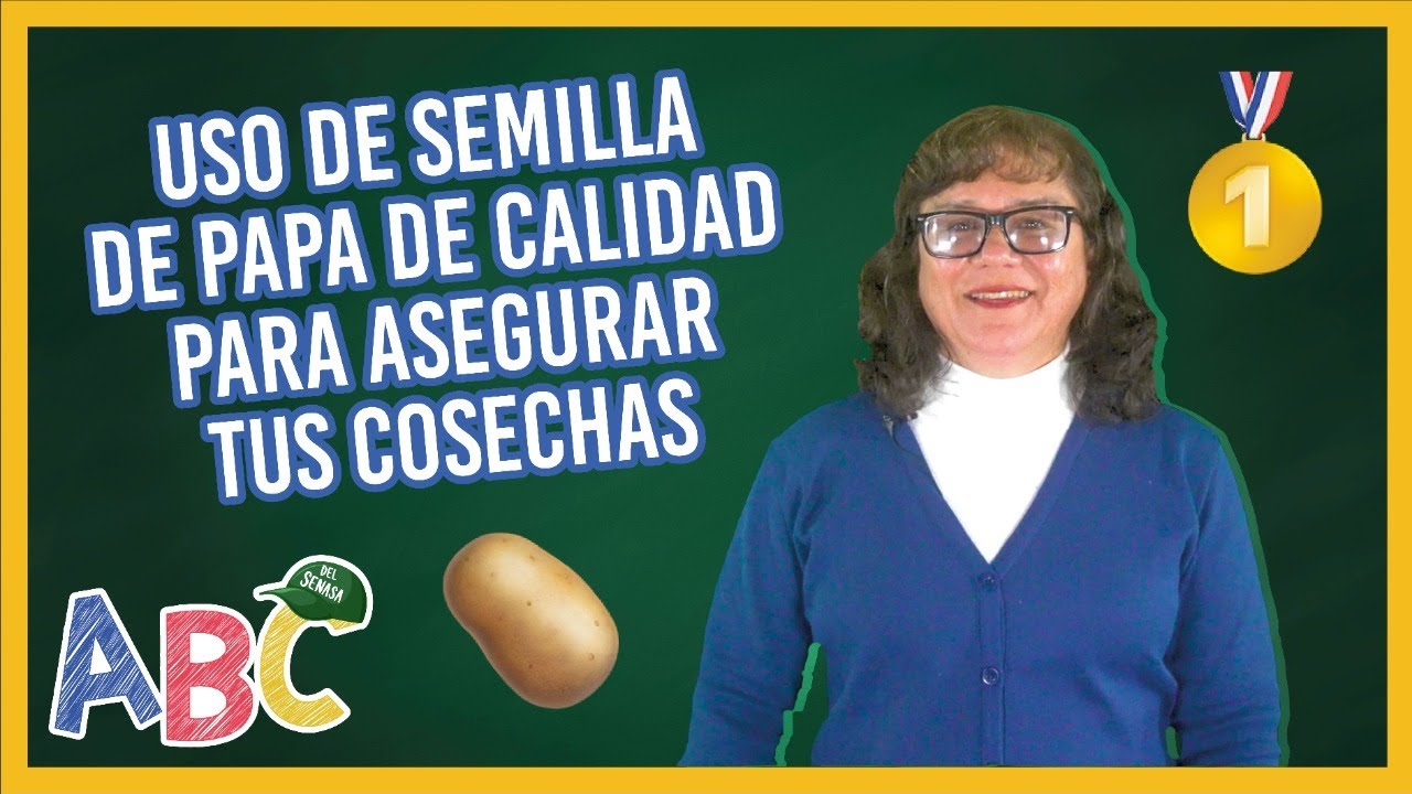 #ABCDelSenasa| Producción de #SemillasCertificadas.