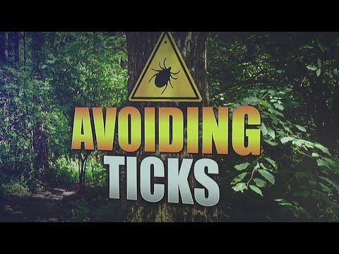 Preventing tick bites and Lyme disease