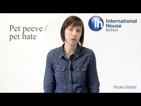 Useful Expressions - pet peeve / pet hate