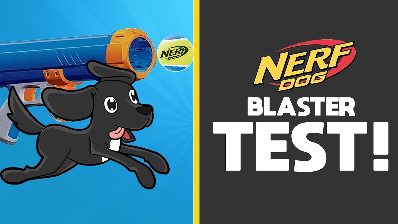 Testing The Nerf Dog Tennis Ball BLASTER!