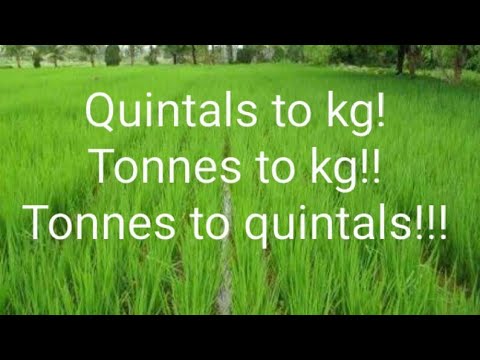 convert quintal to kg|convert tonne to kg|convert tonnes to quintals|explained with example in tamil