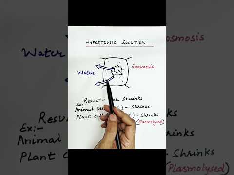 Behaviour of cell in Hypertonic Solution #science #cbse #class9 #shortvideo #shorts #short