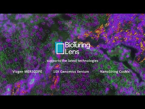 Explore single-cell spatial transcriptomics data on BioTuring Lens