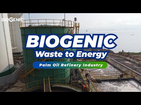 Instalasi Pengolahan Air Limbah (IPAL) di Industri POME - BIOGENIC Waste to Energy #grinviro