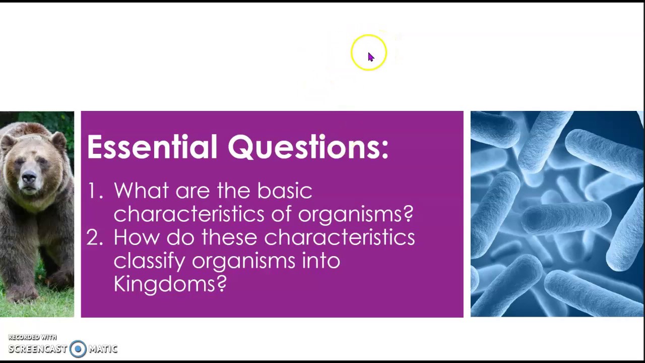 Classifying Organisms PowerPoint (Kesler)