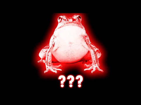 25 Frog Sound Variations in 50 Seconds