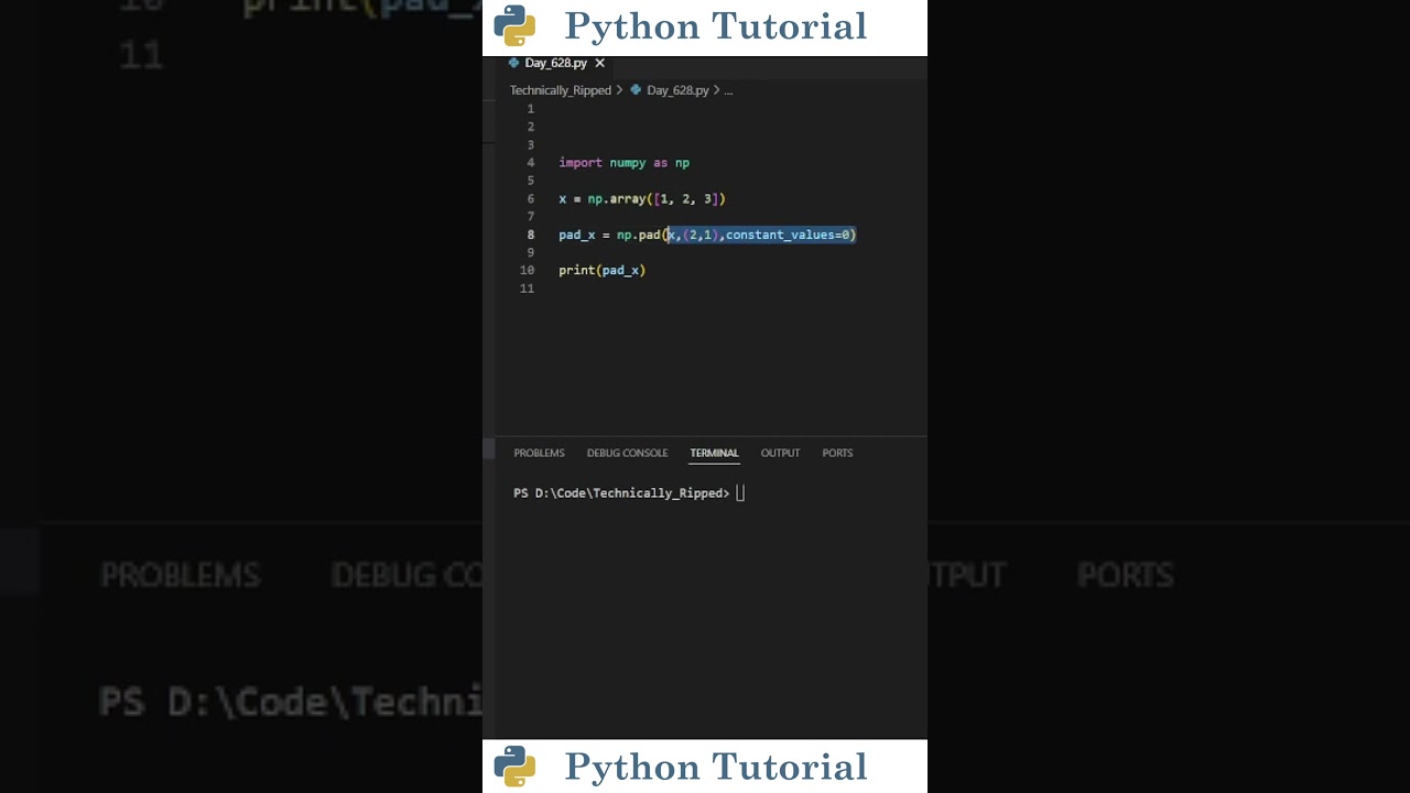 Padding a NumPy Arrays | Python Tutorial