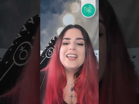 Uncovering the meaning of Portuguese Sayings. 🇵🇹 😸