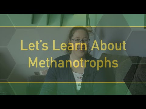 Let’s Learn About Methanotrophs | Future Energy Systems