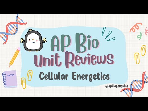 AP Biology Review: Unit 3 Cellular Energetics