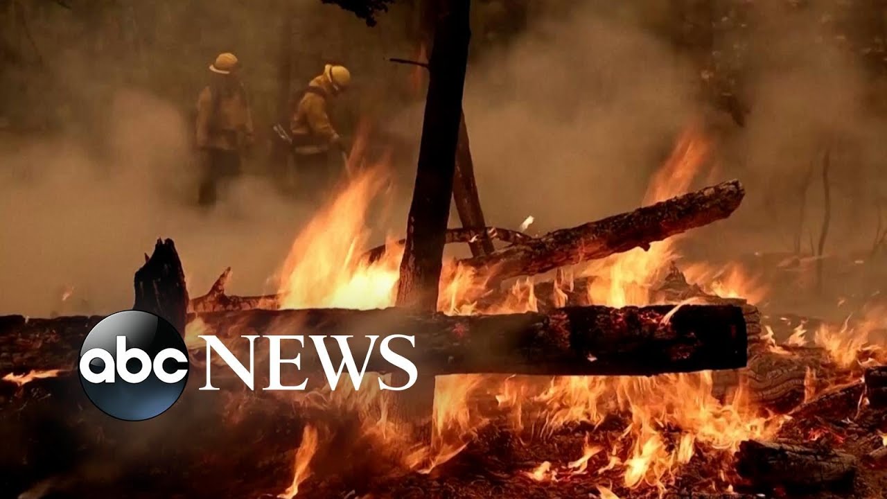 How the Oak Fire exploded so quickly in size
