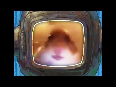 Hamster Staring At Face Camera Meme