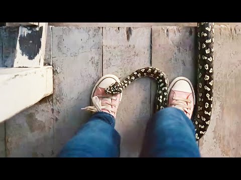 A Father Buys A Zoo For His Daughter, But Things Go So Wrong After That…