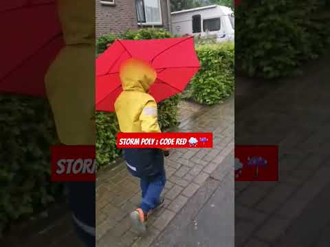 Storm Poly #short #storm #poly #code #red #walking #school #rain #wind #staysafe #everyone #fyp