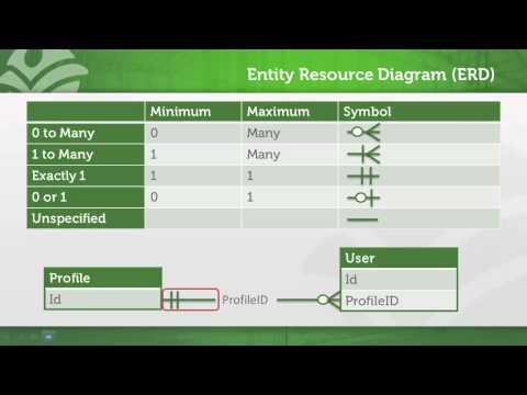 How to Read Salesforce ERDs (Entity Relationship Diagram)