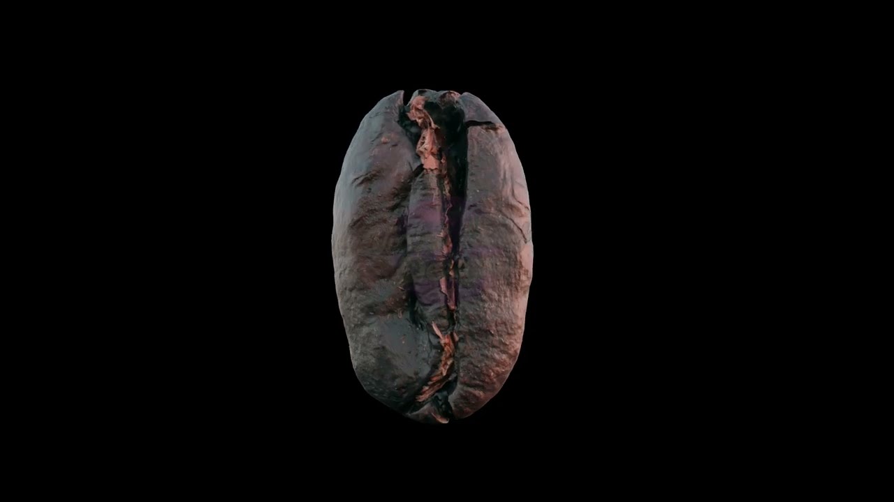 Rotating Coffee Bean Stock Motion Graphics Video