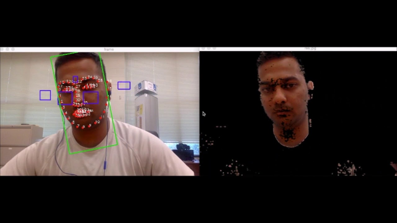 Dynamic Facial Keypoint Mapping