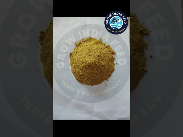 Fish Meal - Sun Dried Fish Meal from Kota