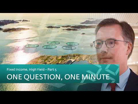 DNB Fixed Income, High Yield: One question, one minute, Part 5
