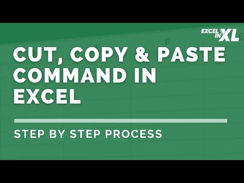 How to use the Cut, Copy and Paste command in Excel | Step by Step Process