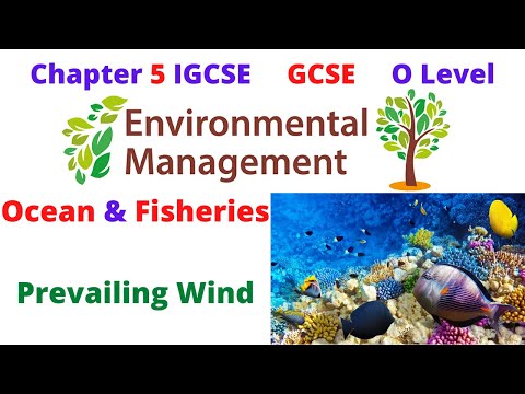 Oceans and Prevailing Wind