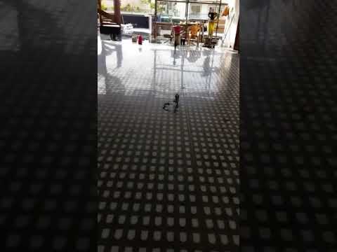 Terrazzo flooring you will fall for.. #parmandesigns #terrazzo #flooring #tiles #terrazzodesign