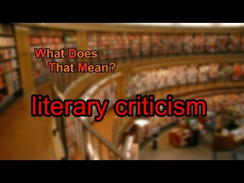 What does literary criticism mean?